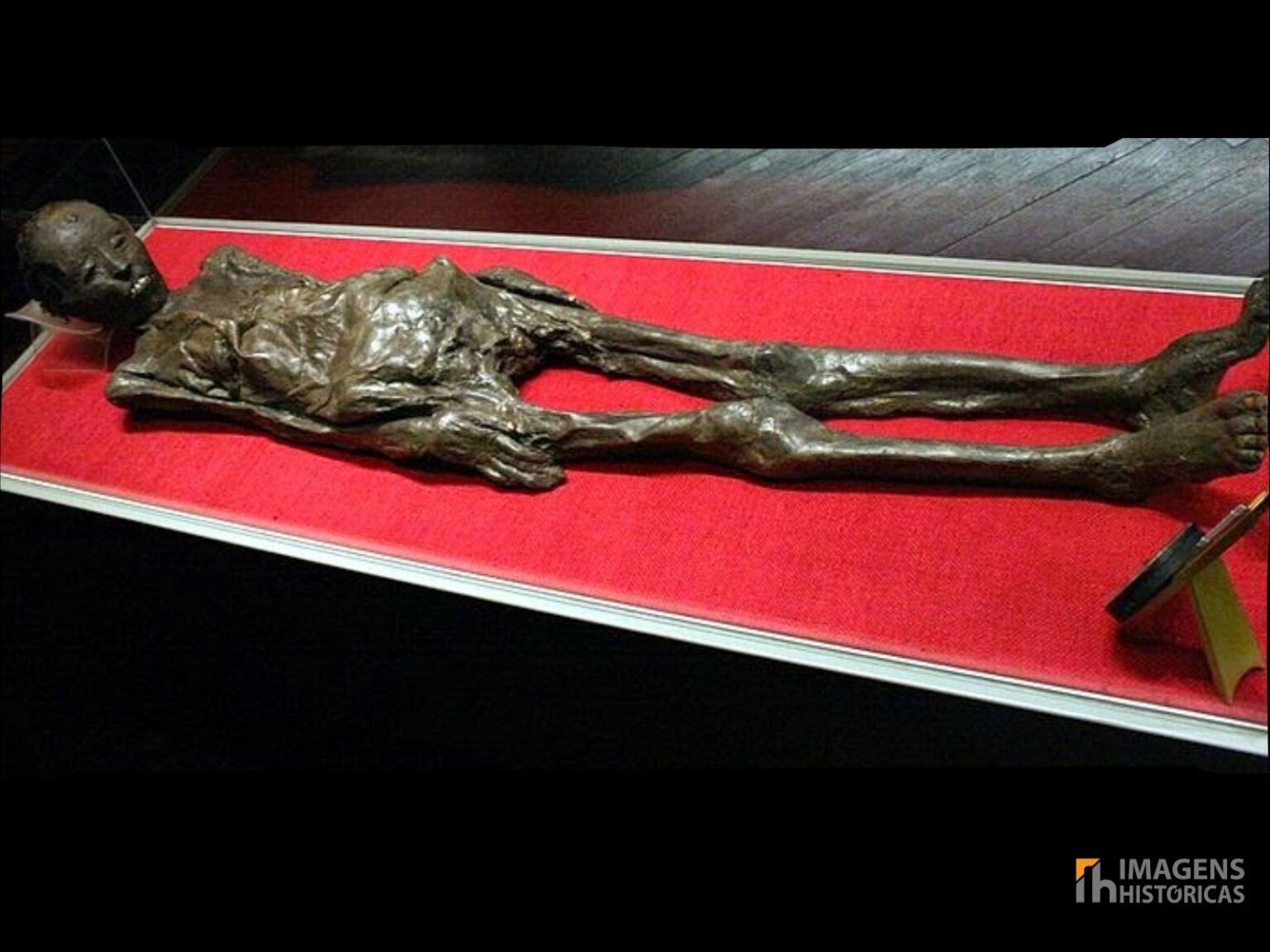 Liber Linteus Zagrabiensis – O Unico Livro Etrusco Conhecido